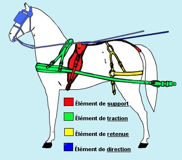 Les Equidés Hamois - Les Harnais